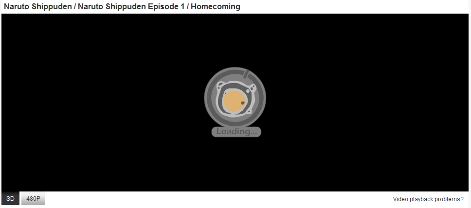 Flash Animation Loading