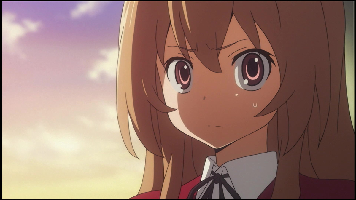 Toradora Taiga Mad