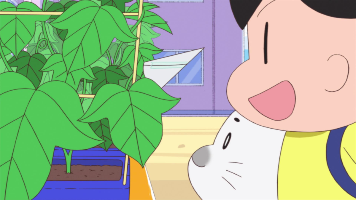 Shonen Ashibe GO! GO! Goma-chan Let's Make the Morning Glories Bloom ...