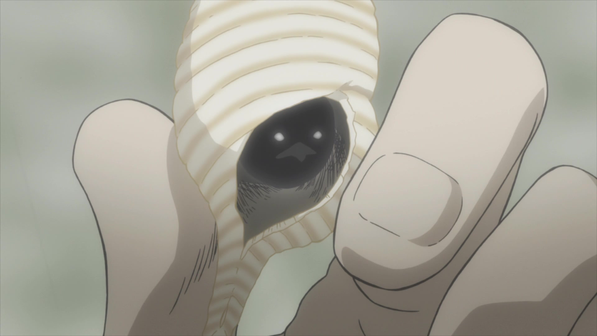 MUSHI-SHI The Second Passage A Concha que Gorjeia - Assista na Crunchyroll