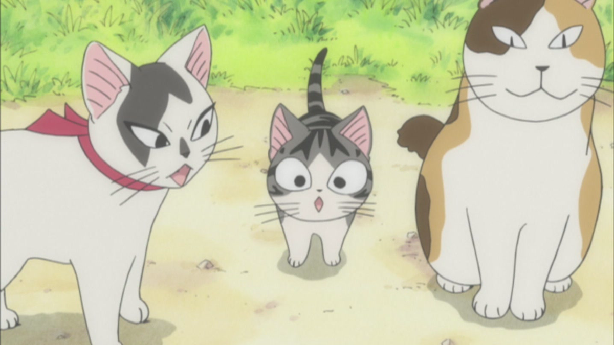 Chi's Sweet Home - Chi's New Address Season 2 Chi, Makes Her Debut ...