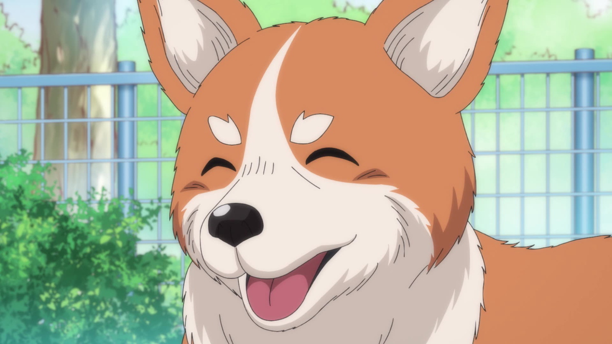 Oda Cinnamon Nobunaga Puppies of War - Watch on Crunchyroll