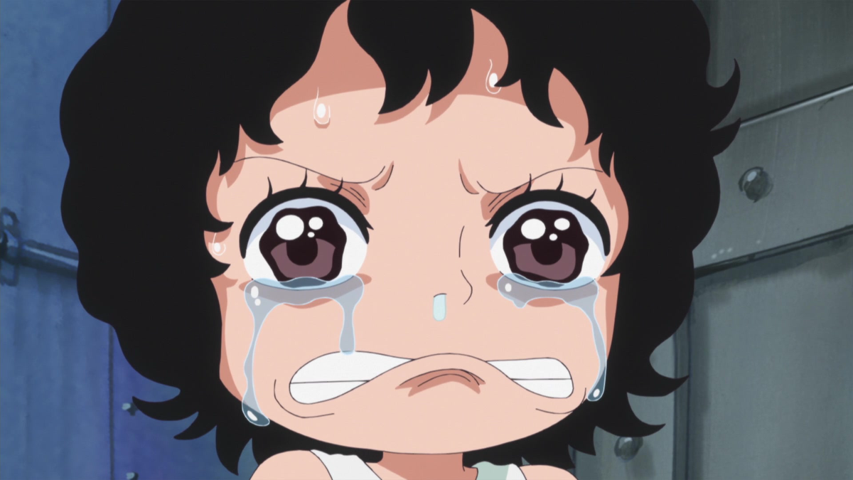 One Piece ¡Protegeré a mis amigos! Mocha arriesga su vida - Ver en ...