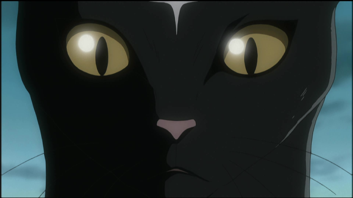 D.Gray-man (Season 1-2) (English Dub) Feelings of Devotion - Watch on ...