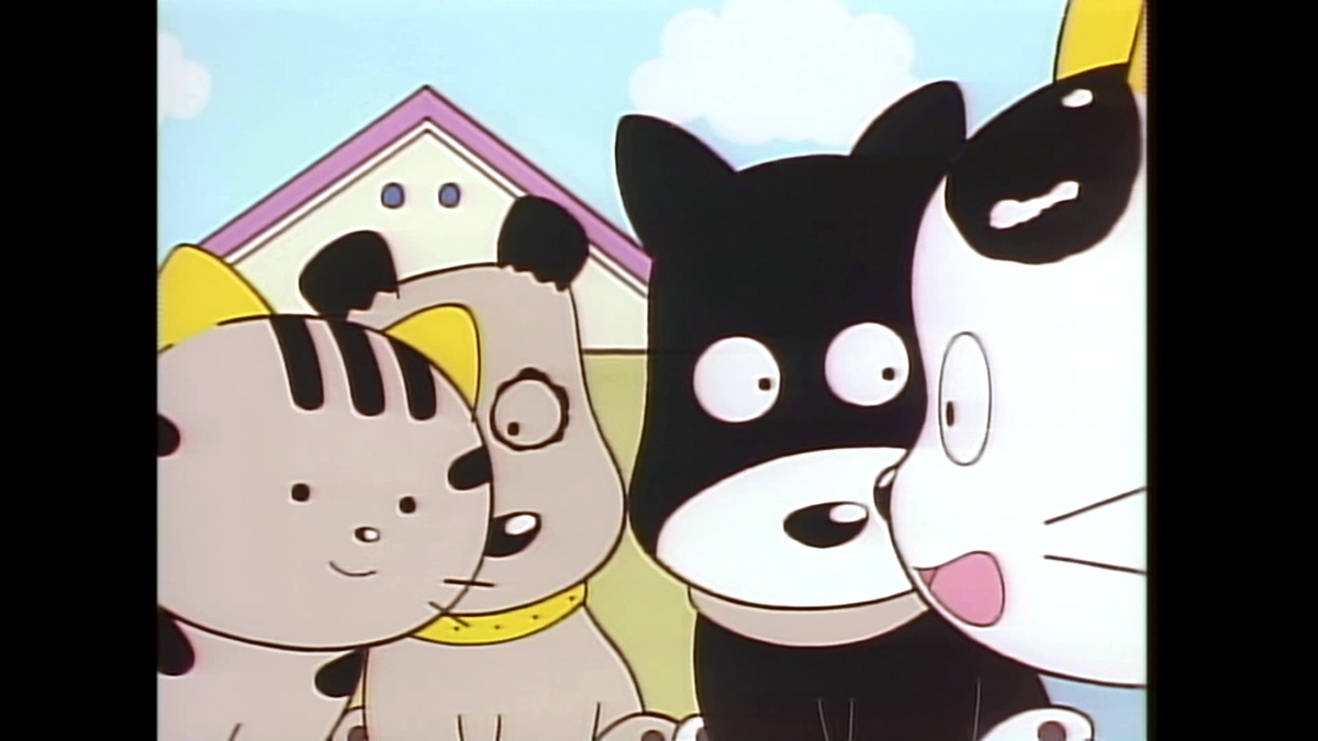 TAMA of the 3rd District -Have You Seen My TAMA? Tama and Friends ...