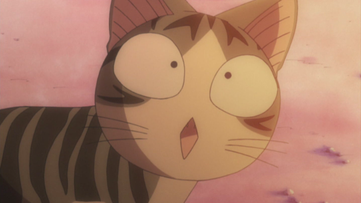 Chi's Sweet Home - Chi's New Address Season 4 Chi, Renews Her Promise ...