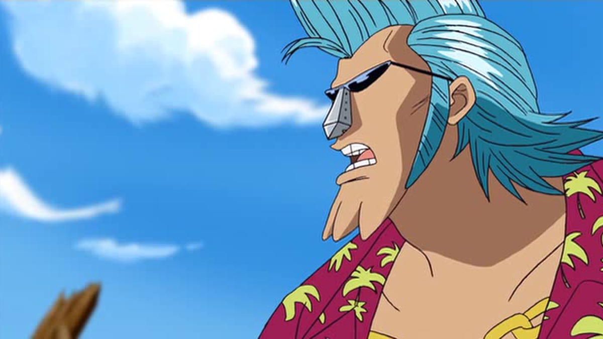 One Piece: Water 7 (207-325) (English Dub) The Straw Hat Pirates Are ...