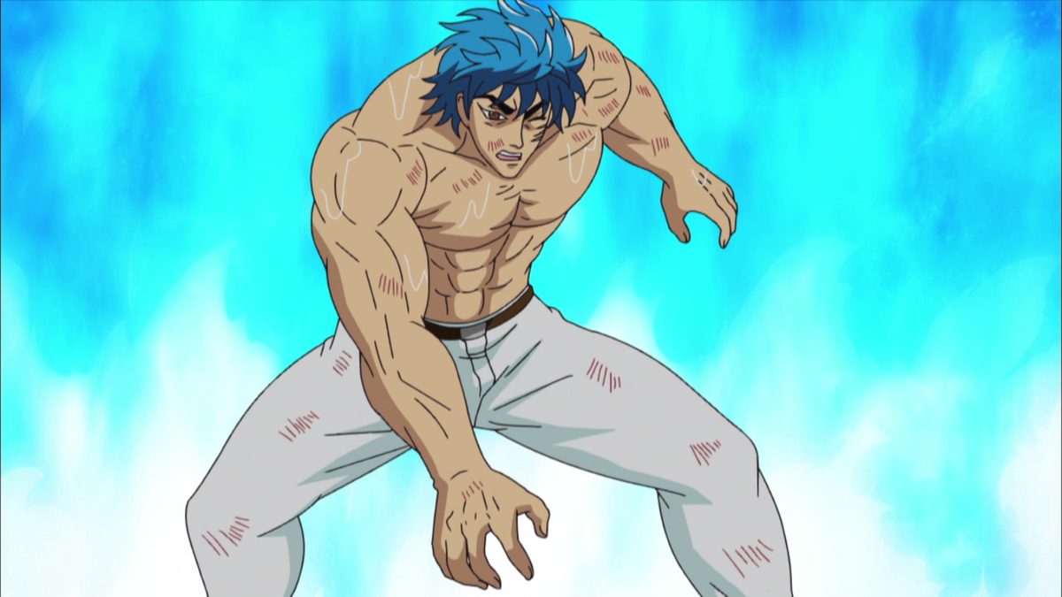 Toriko Toriko Vs Starjun