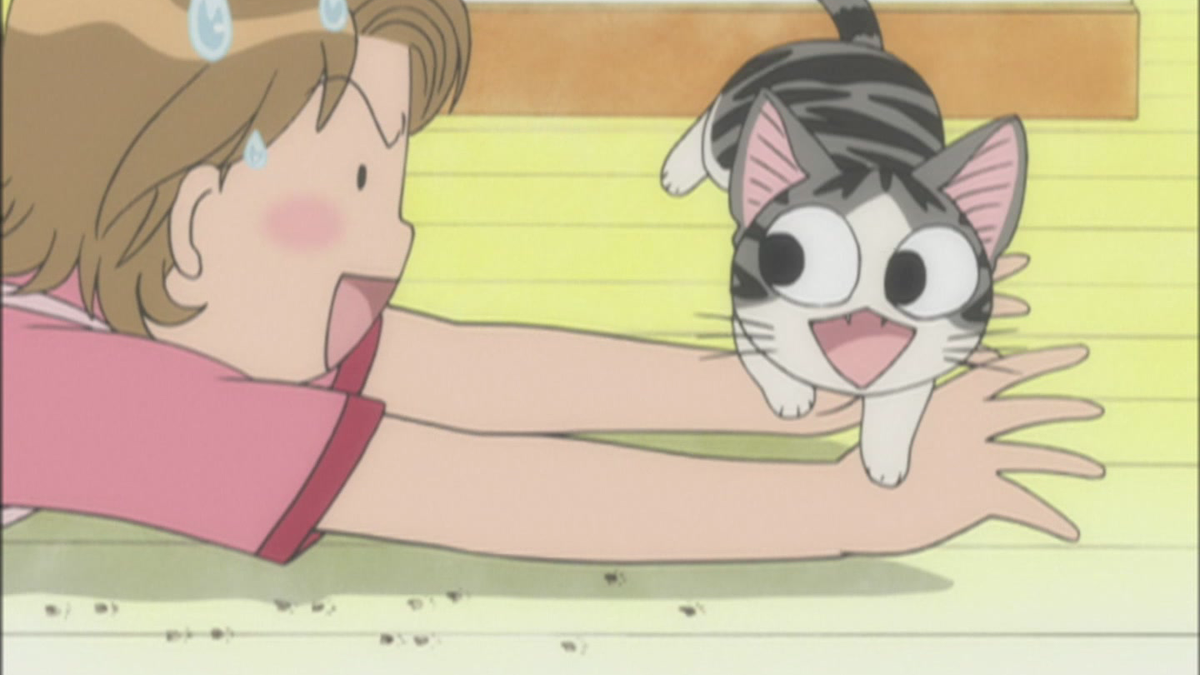 Chi's Sweet Home - Chi's New Address Season 1 Chi, Leaves Pawprints ...