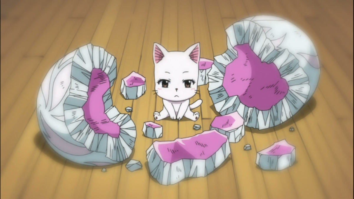 Fairy Tail Lisanna Cat