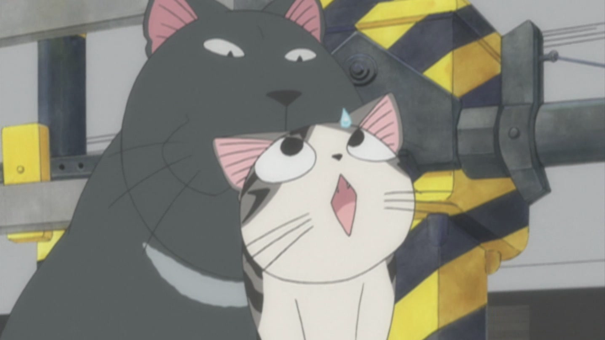 Chi's Sweet Home - Chi's New Address Chi, is Happy. - Ver en ...