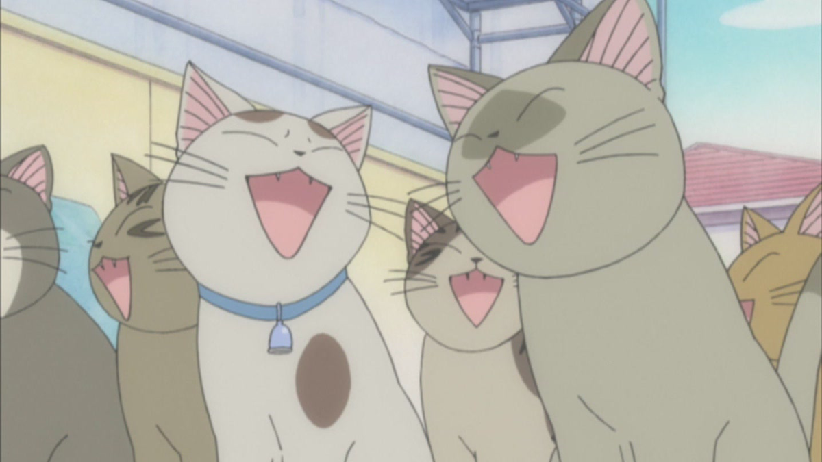 Chi's Sweet Home - Chi's New Address Season 2 Chi, Looks Up at the Sky ...