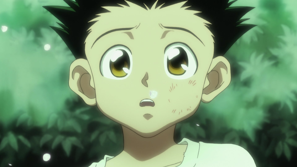 Hunter x Hunter Light X And X Dark - Schau auf Crunchyroll