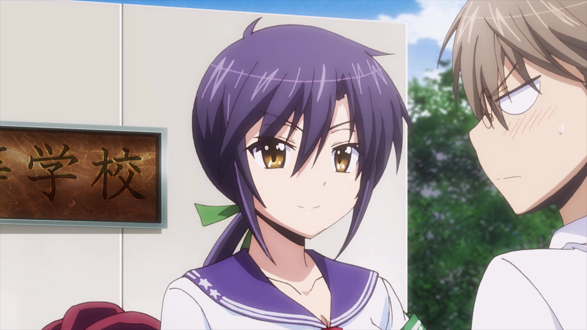 My Wife is the Student Council President+! The Disciplinary Committee ...