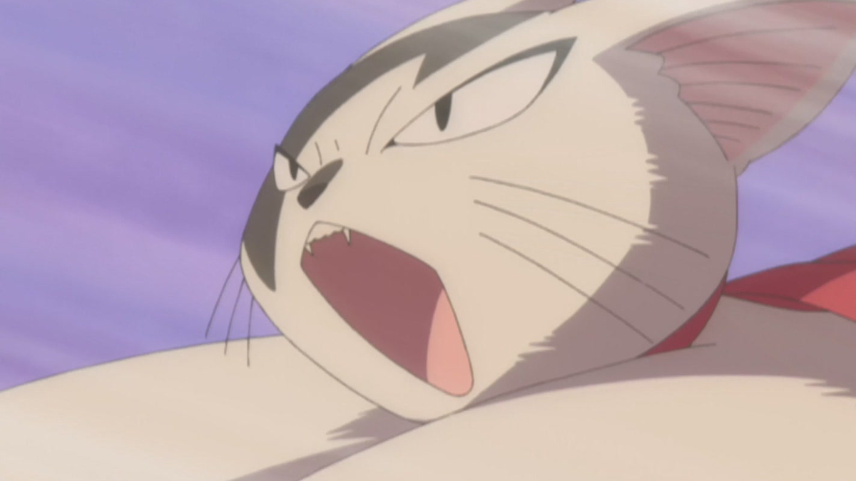 Chi's Sweet Home - Chi's New Address Season 3 Chi, Goes Along. - Watch ...