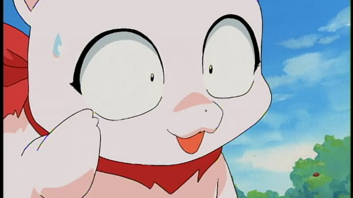 Mon Colle Knights Card