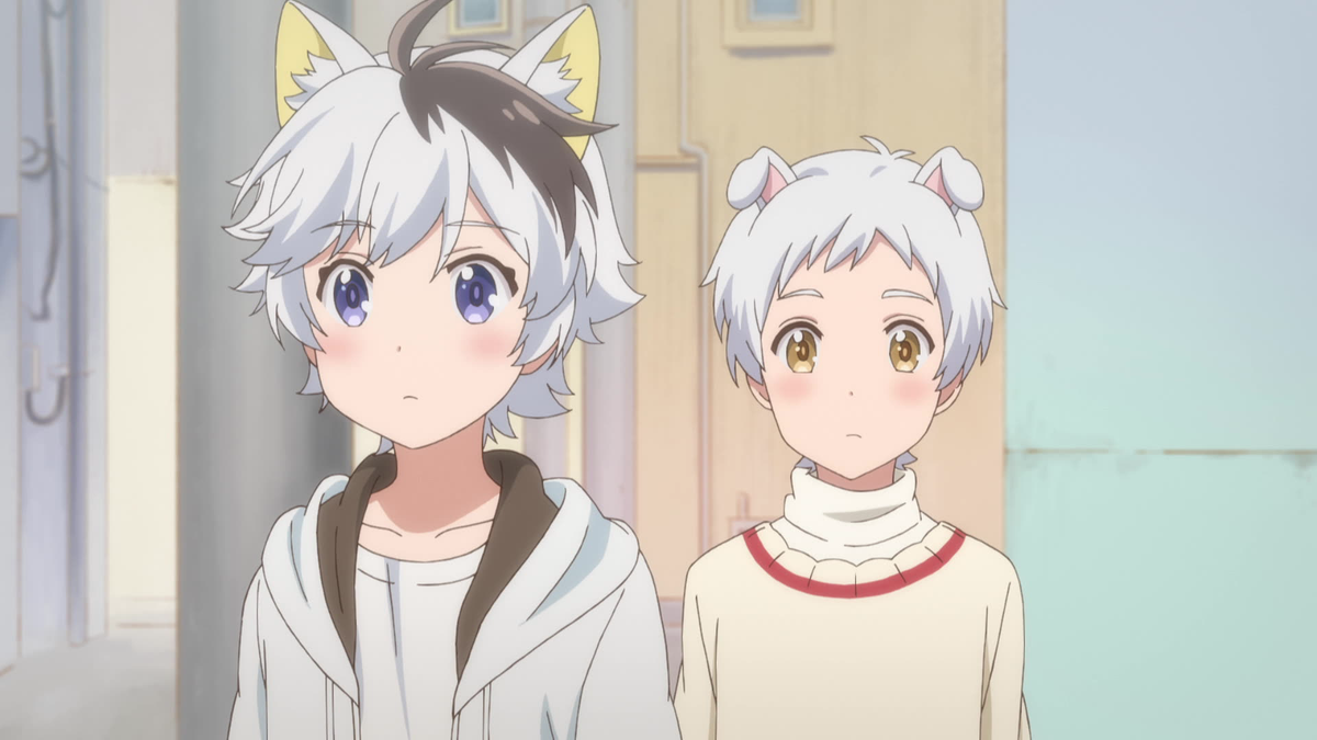 Uchitama?! Have you seen my Tama? Have You Seen My Tama? / Dog Meeting ...