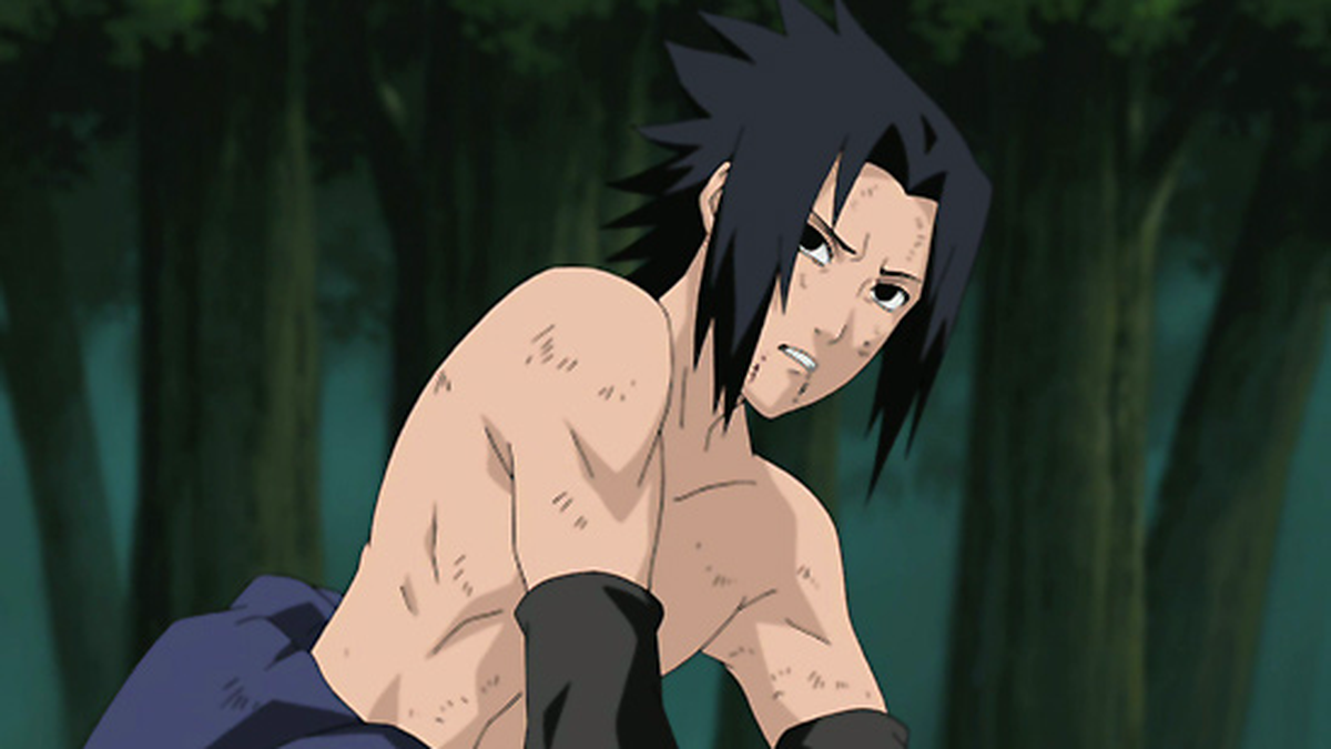 Naruto Shippuden: The Master's Prophecy and Vengeance Disappearance ...