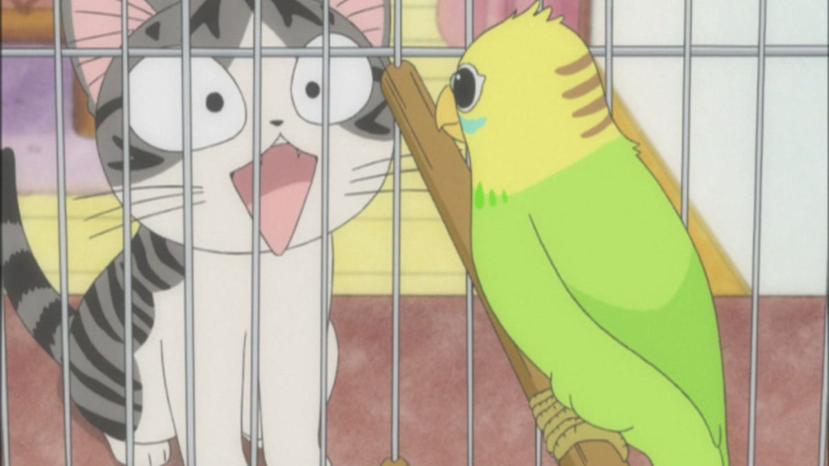 Chi's Sweet Home - Chi's New Address Season 2 Chi, is Impersonated ...