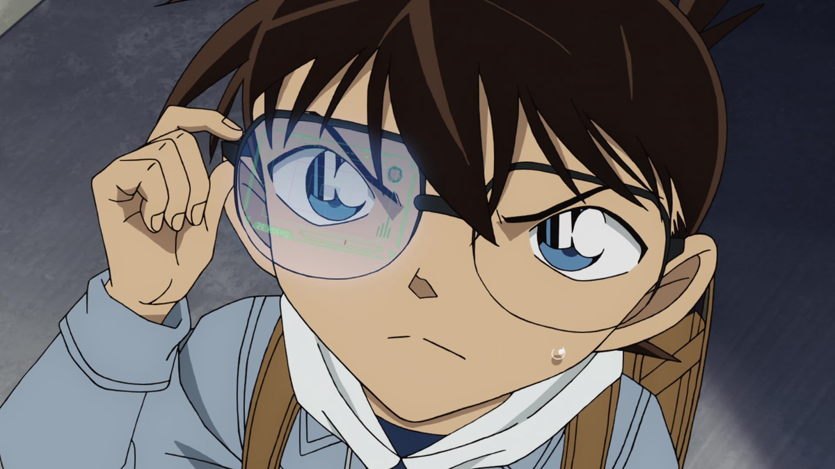 Case Closed (Detective Conan) The Black Organization's Scheme (Hunt ...