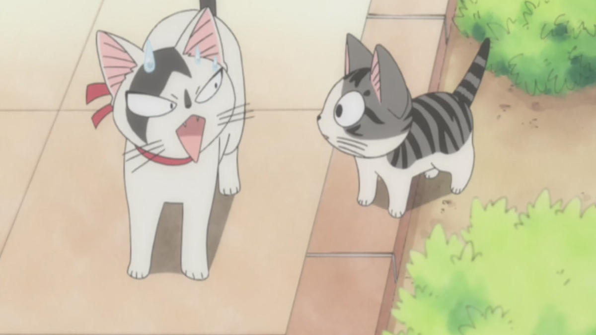 Chi's Sweet Home - Chi's New Address Season 3 Chi, Is Treated. - Watch ...