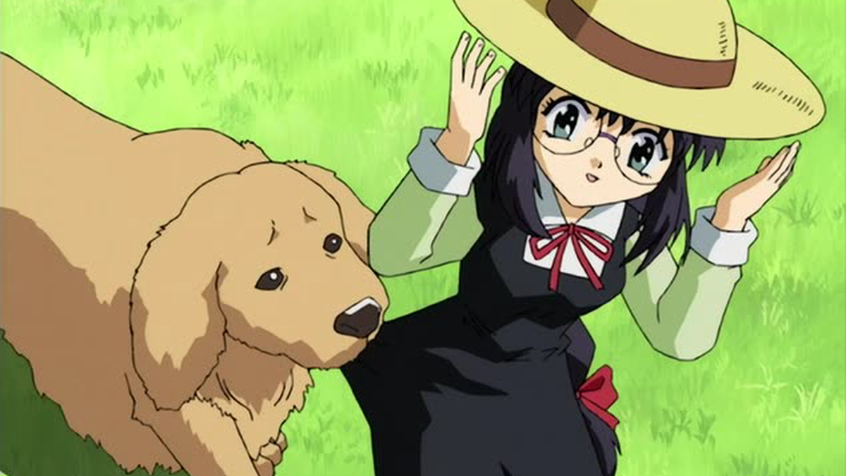 Brother And Sister Princess Anime