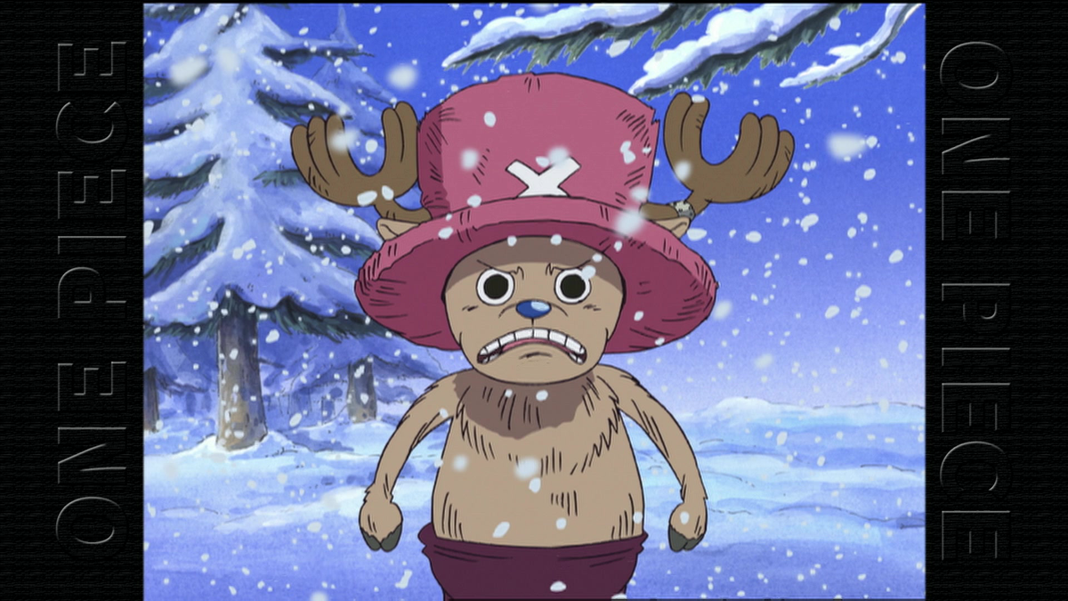 One Piece: Water 7 (207-325) (English Dub) Parting Builds a Man's ...
