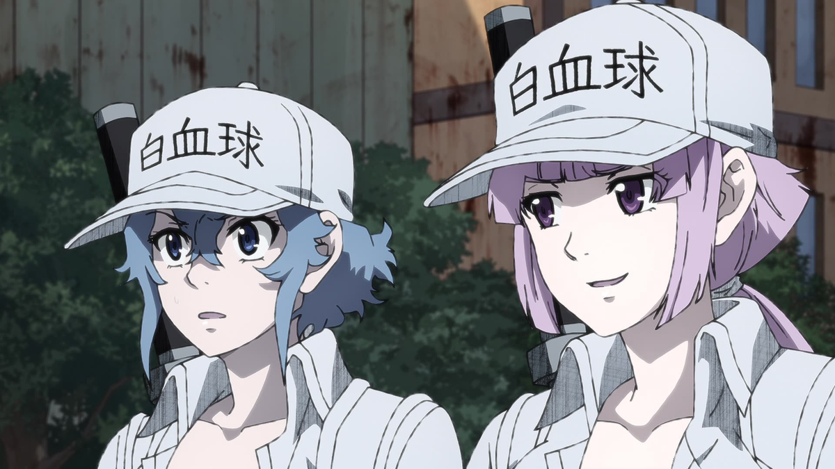 Cells at Work! CODE BLACK (English Dub) Desperation, Gout, and ...