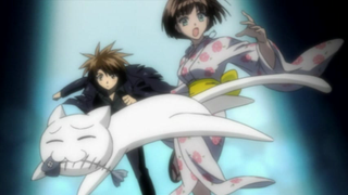 Watch Black Cat - Crunchyroll
