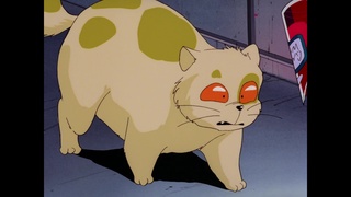 Kimagure Orange Road Hurricane! Akane, the Shapechanging Girl - Ver en ...