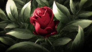 Hunter x Hunter Cero x Y x Rosa - Ver en Crunchyroll