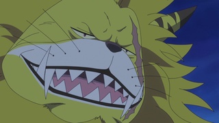 One Piece: Zou (751-782) The King of the Night! Master Cat Viper ...