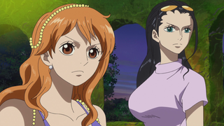 One Piece: Zou (751-782) El Rey del Día. ¡Aparece el duque Inuarashi ...