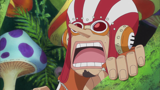 One Piece ¡Aventura! ¡La isla de las hadas, Green Bit! - Ver en ...