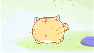 Poyopoyo The Sphere's Three Neighbors - Watch on Crunchyroll