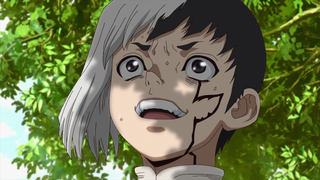 Watch Dr. STONE - Crunchyroll