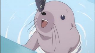 Kaleido Star (English Dub) My Amazingly Distant Family - Watch on ...