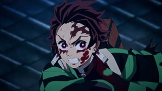 Demon Slayer: Kimetsu no Yaiba Entertainment District Arc Gathering ...