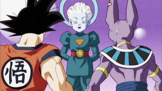 Dragon Ball Super Universe 9's Basil the Kicker VS Universe 7's Majin ...