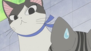 Chi's Sweet Home - Chi's New Address Season 4 Chi, Stays the Night ...