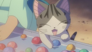 Chi's Sweet Home - Chi's New Address Season 3 Chi, Goes Along. - Watch ...