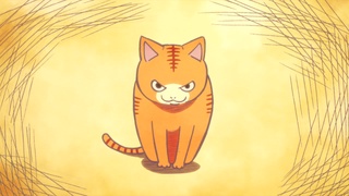 With a Dog AND a Cat, Every Day is Fun When They Were Little - Watch on ...