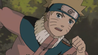 Naruto Season 6 What's the Difference? Don't All Insects Look Alike ...