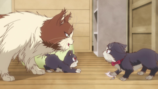 My Roommate is a Cat (English Dub) What Connects Us - Watch on Crunchyroll