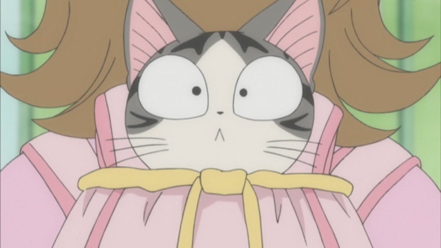 Chi's Sweet Home - Chi's New Address Chi, is Washed. - Ver en Crunchyroll