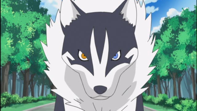 Sgt. Frog Keroro's Extreme Makeover:Dramatic Renovations Edition, Sir ...