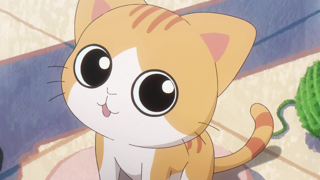 Link Click (Shorts) The Daily Life in Lightime Short Episode 4 - Watch ...