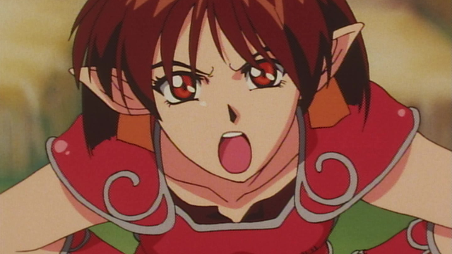 Record of Lodoss War Sallying Forth... Pursuing a Dark Shadow - Watch ...