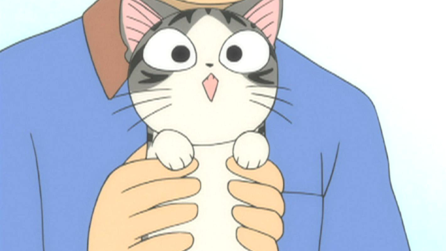 Chi's Sweet Home - Chi's New Address Season 1 Chi, Introduction pt.1 ...