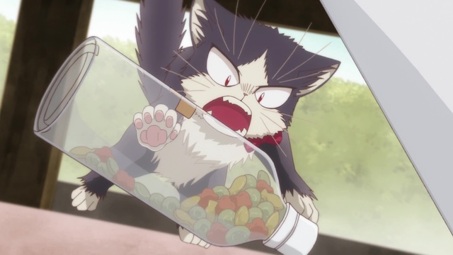 My Roommate is a Cat What I Want to Tell You - Watch on Crunchyroll